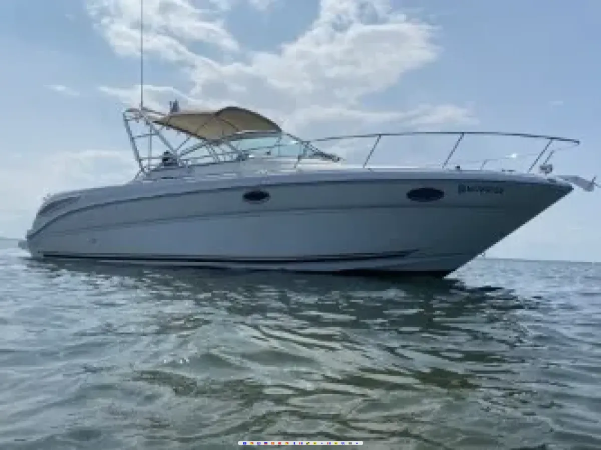 2003 Sea Ray Amberjack 290 Amberjack Photographs